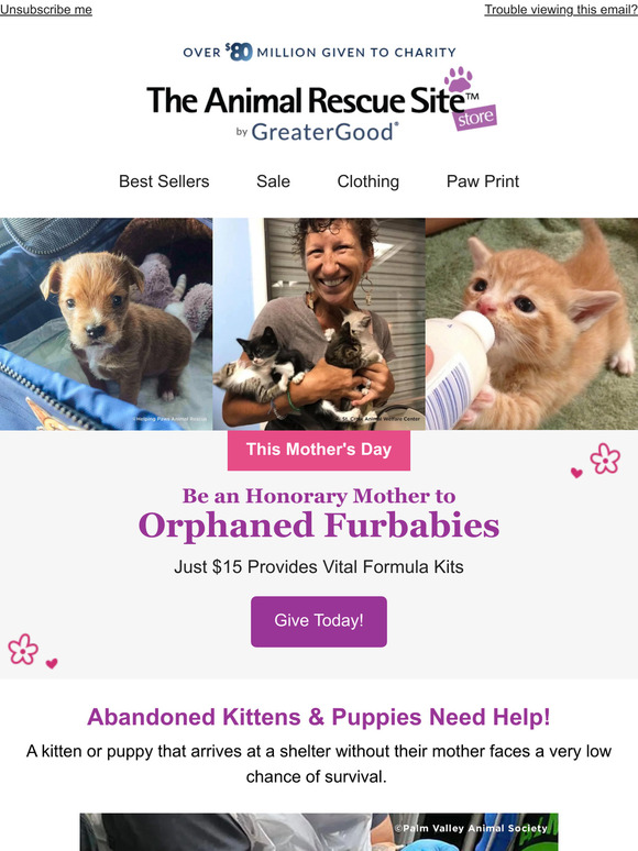 The Animal Rescue Site: Orphaned Fur Babies Need Your Help 🐾 💟 | Milled