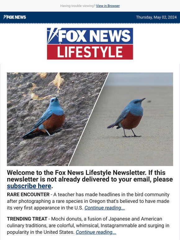 Fox News: Super rare bird appears for first time in America, plus these ...