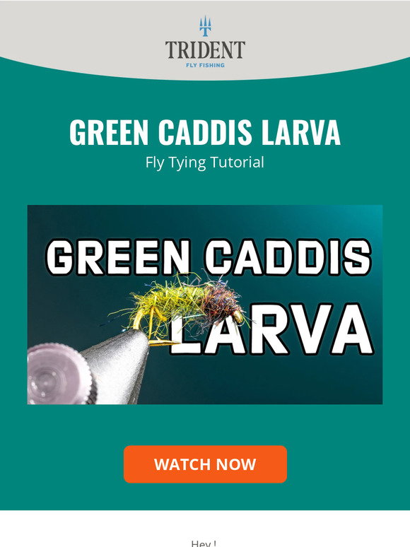 Trident Fly Fishing: How to Tie A Green Caddis Larva Fly | Milled