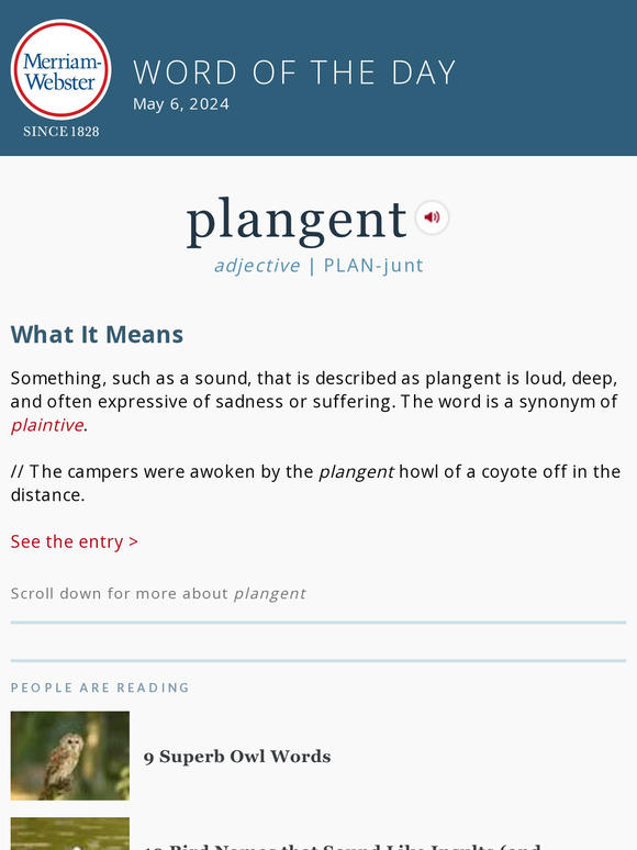 Merriam-Webster: Plangent - plus, 9 Superb Owl Words | Milled