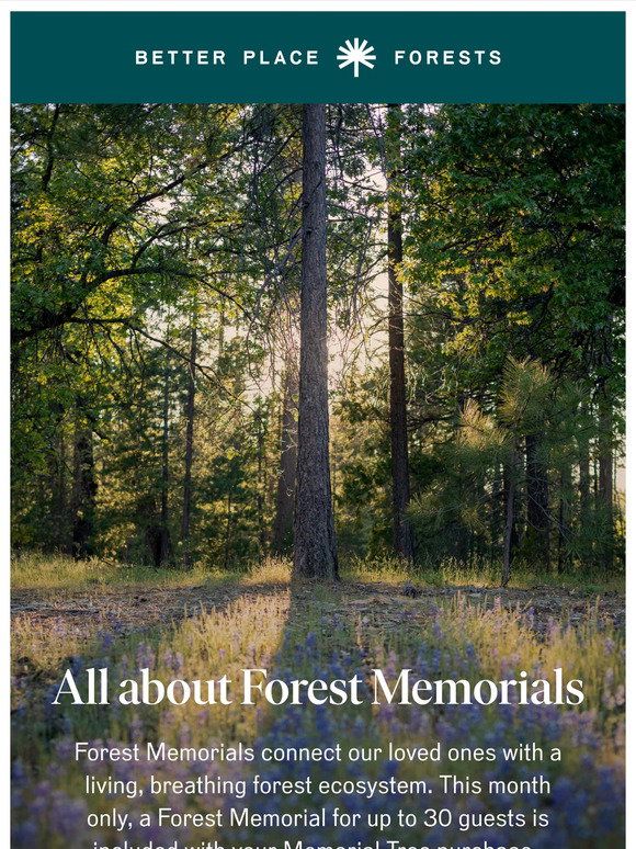 Better Place Forests: How a Forest Memorial Works [+Photos] | Milled