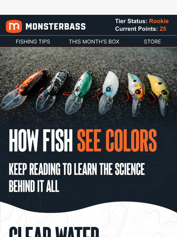 MonsterBass: How Do Fish See Colors? | Milled