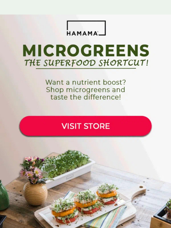 Hamama: Want A Nutrient Boost? 🌱 | Milled