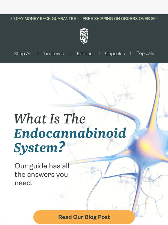 HempLucid: GUIDE: 💚 Here’s How Cannabinoids Work | Milled