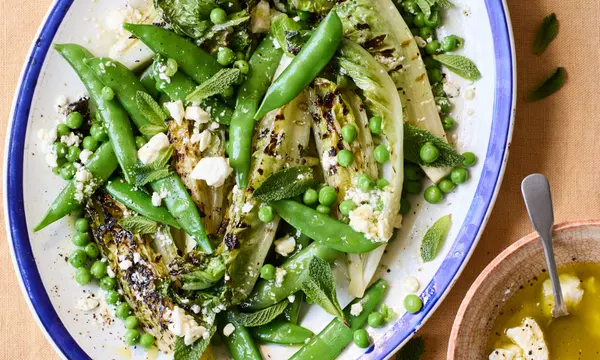 The Guardian: Climate scientists have had enough | Saturday Edition ...