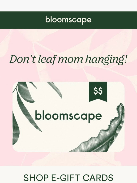 Bloomscape: Did you forget about Mother's Day? | Milled