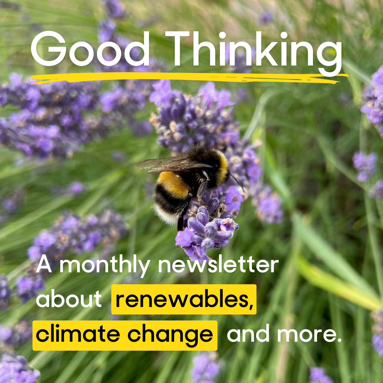 Good Energy: May's Good Thinking is here | Milled