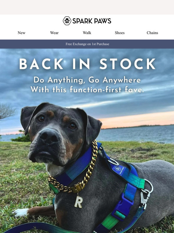 Spark Paws: Do anything, go anywhere. | Milled