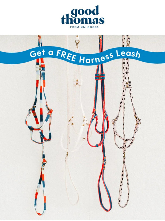 Dog Threads: FREE Harness Leashes ⚡ | Milled