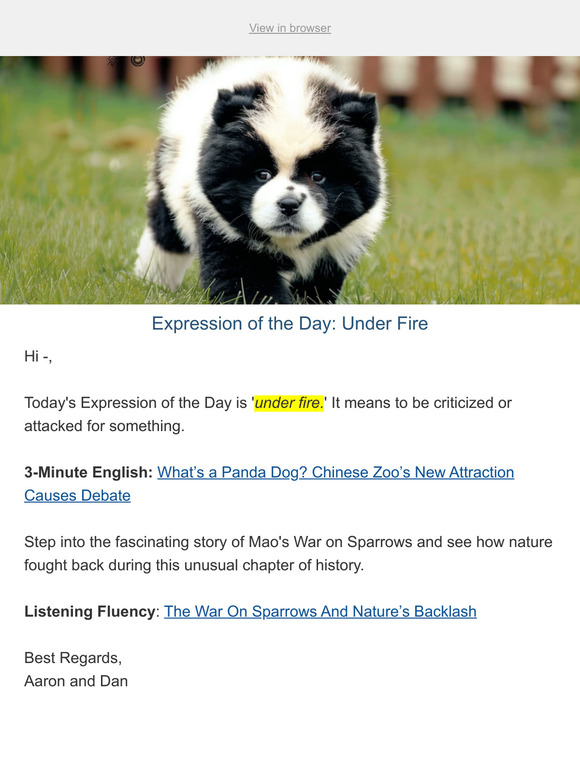 Deep English: 3-Min English: What’s a Panda Dog? Chinese Zoo’s New ...
