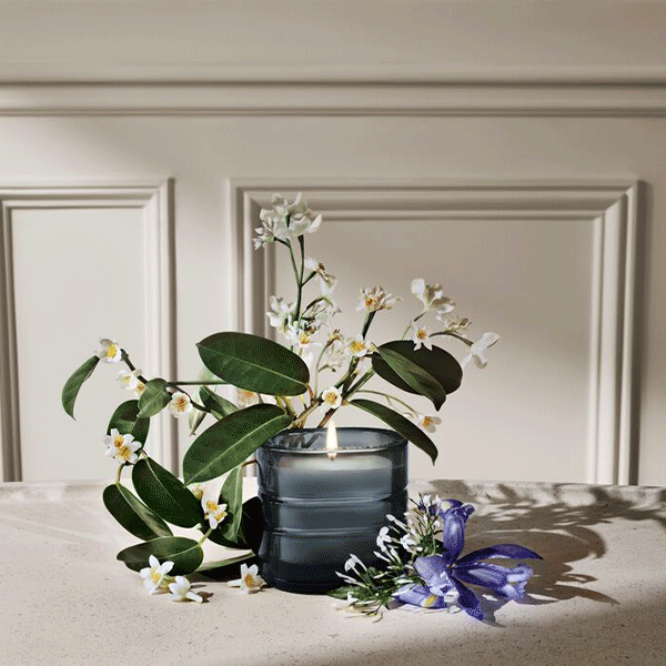 Diptyque: Refillable Candles | Les Mondes de Diptyque | Milled