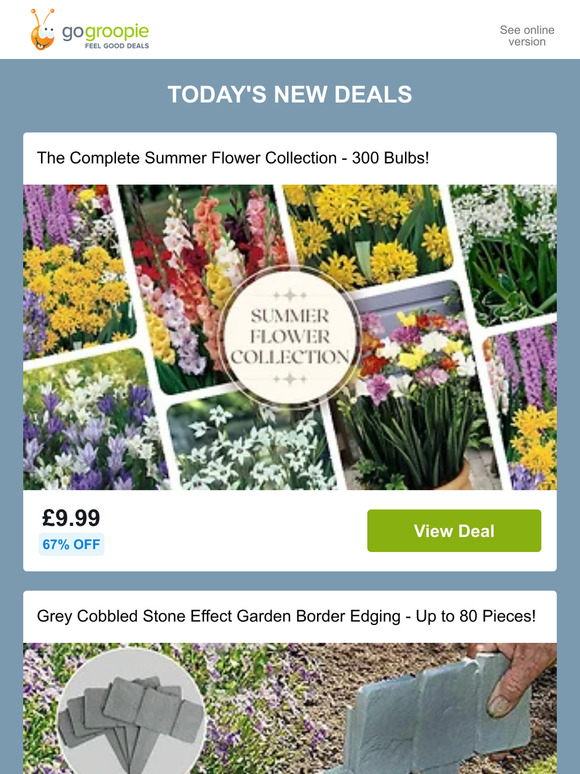 Go Groopie: 🌸 300 Bulbs Summer Flower Collection £9.99 | Cobbled Stone ...