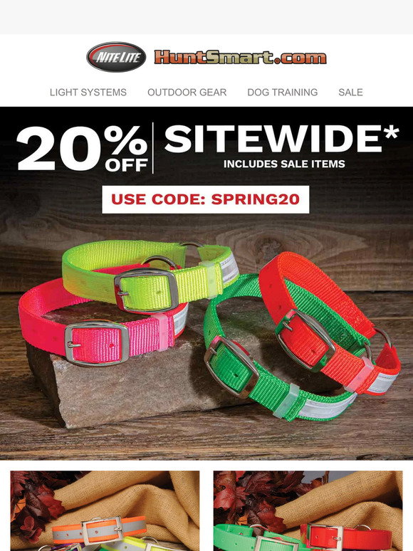 Hunt Smart: Brighten Up Your Dog's Look with Day-Glo Collars! | Milled