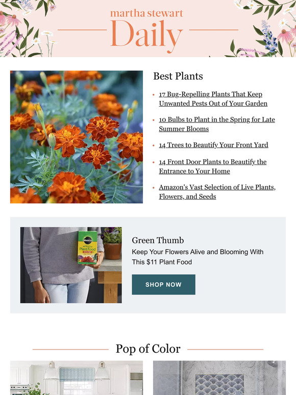 Martha Stewart: 17 Bug-Repelling Plants That Keep Unwanted Pests Out of ...