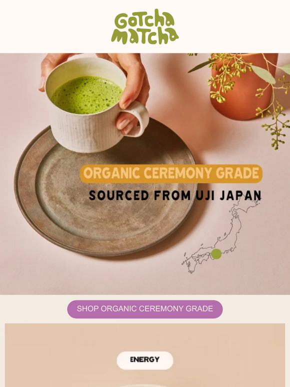 Matcha Source: Find Your Perfect Cup: Organic Ceremony Grade Matcha Sourced from Uji, Japan | Milled