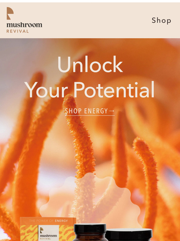 Mushroom Revival: Your New Pre-workout | Milled