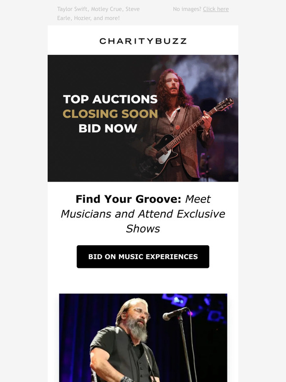 Charitybuzz: Meet the artists and rock out at the best concerts 🤘 | Milled