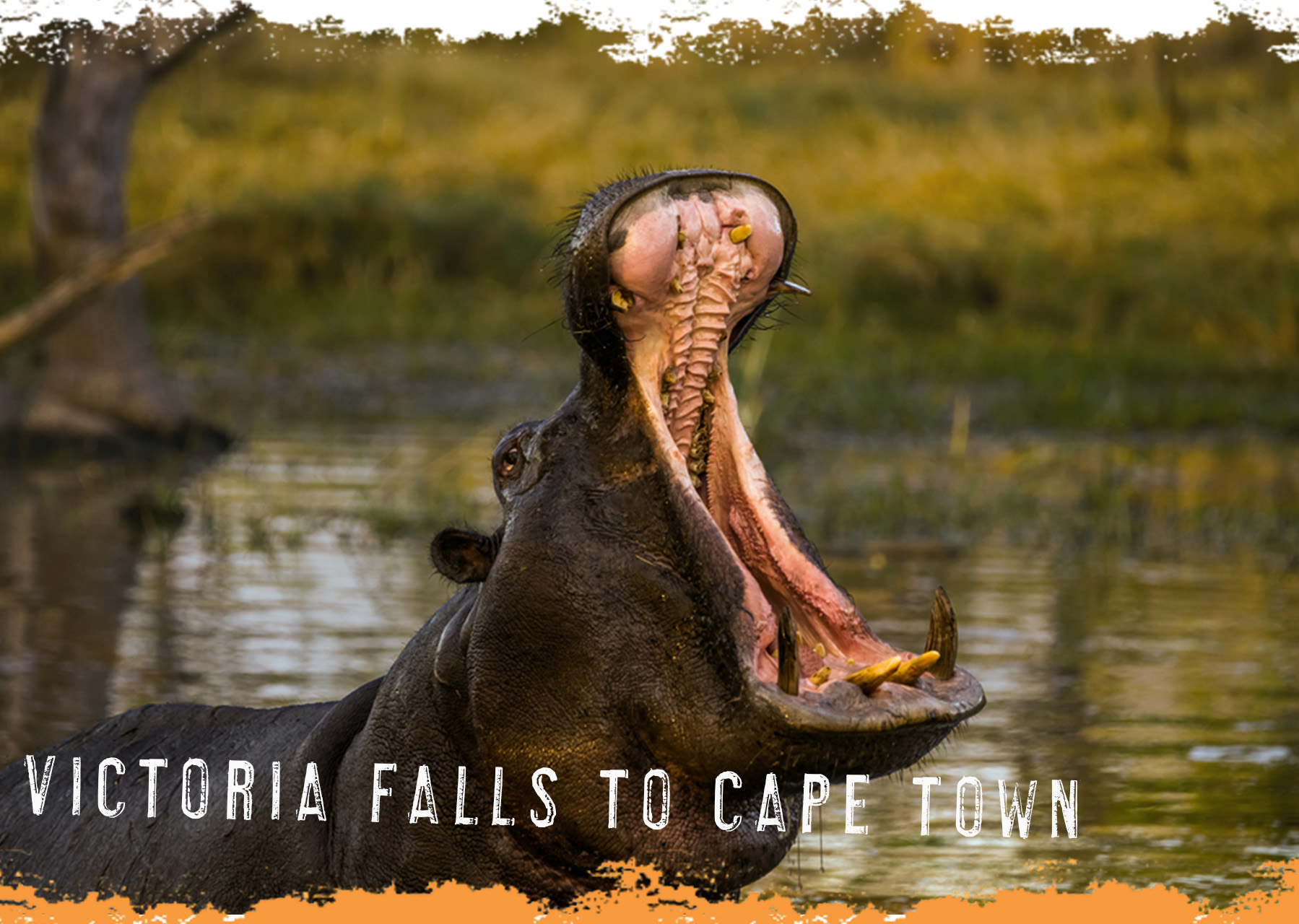 Dragoman: New Overland Tours For 2024 & 2025 | Milled