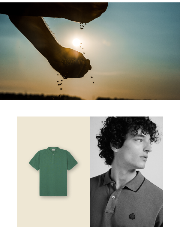 Springfield: Discover limited edition #SpringfieldForest polo shirt 🌱 ...