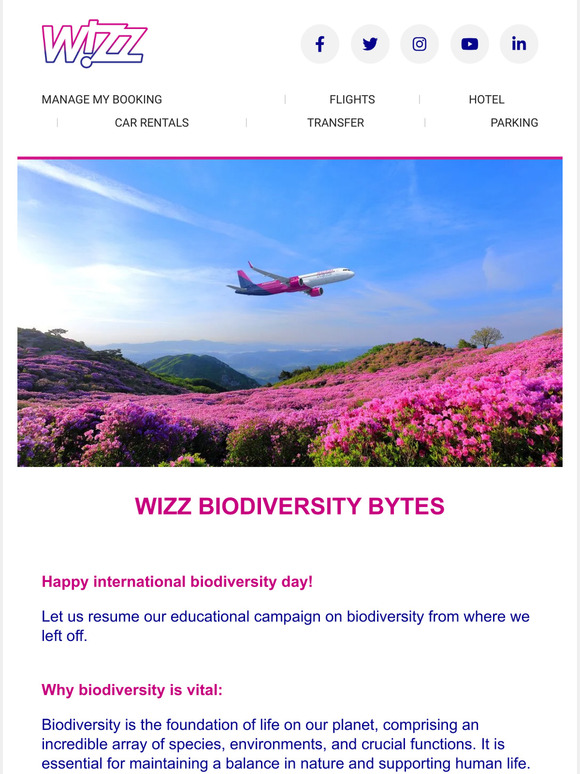 Wizz Air: WIZZ Biodiversity Bytes | Milled