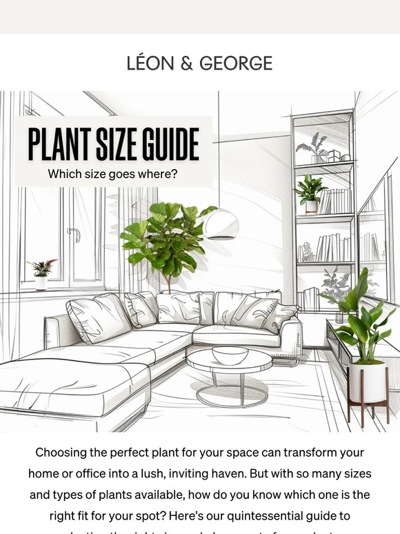 Leon & George: The Quintessential Plant Size Guide | Milled