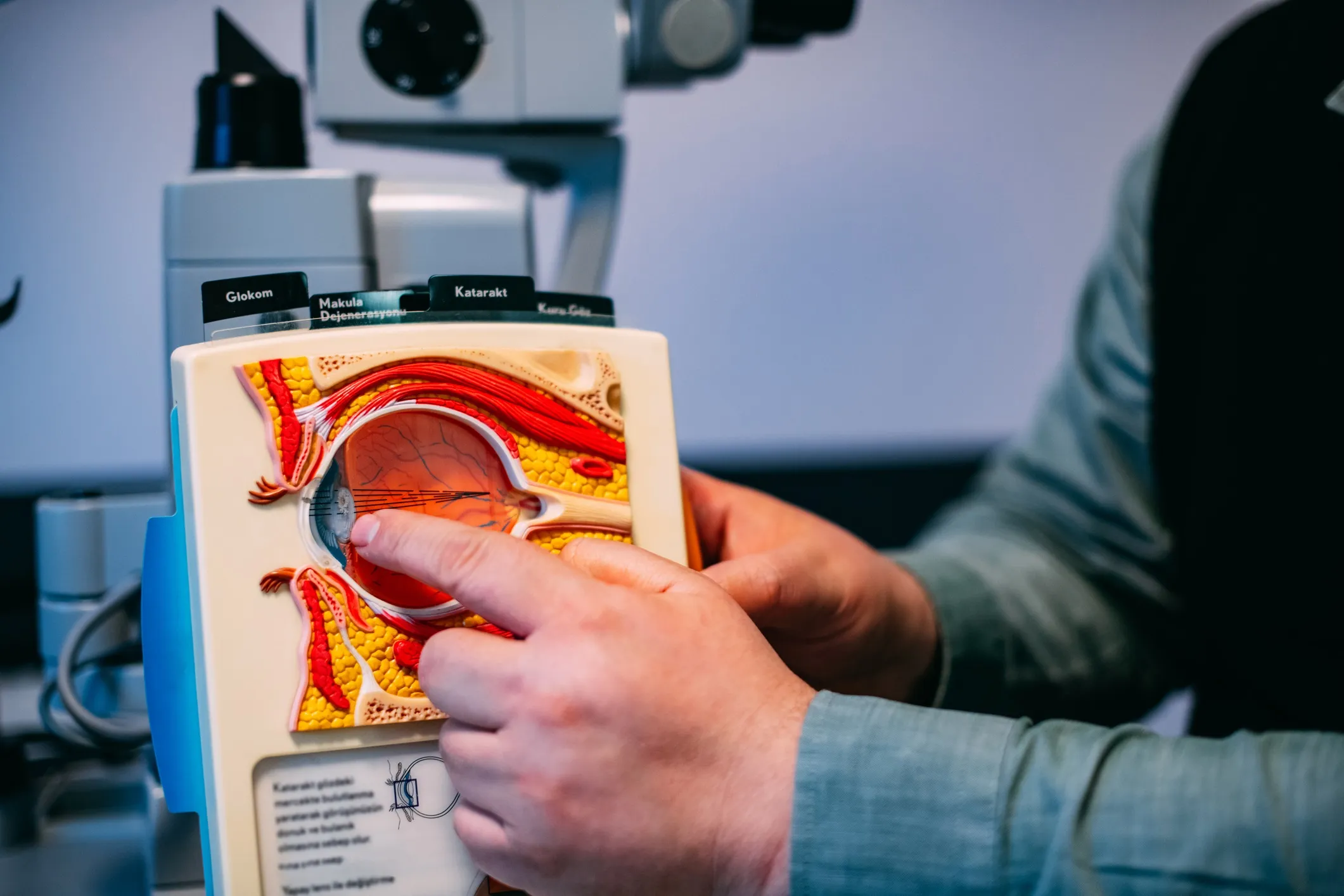 ANSI: New from the ANSI Blog: ANSI/IES LS-7-20—Eye and Brain Visual ...