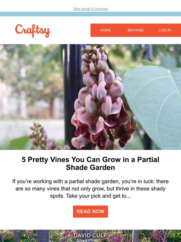 Craftsy: 5 Pretty Vines You Can Grow in a Partial Shade Garden | Milled