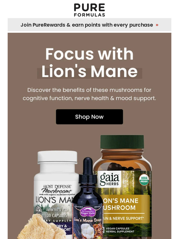 PureFormulas: Lion's mane: Musroom benefits for brain health & focus ...
