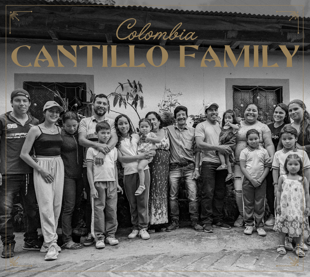 Stumptown Coffee: Spotlight on Colombia Cantillo Family | Milled