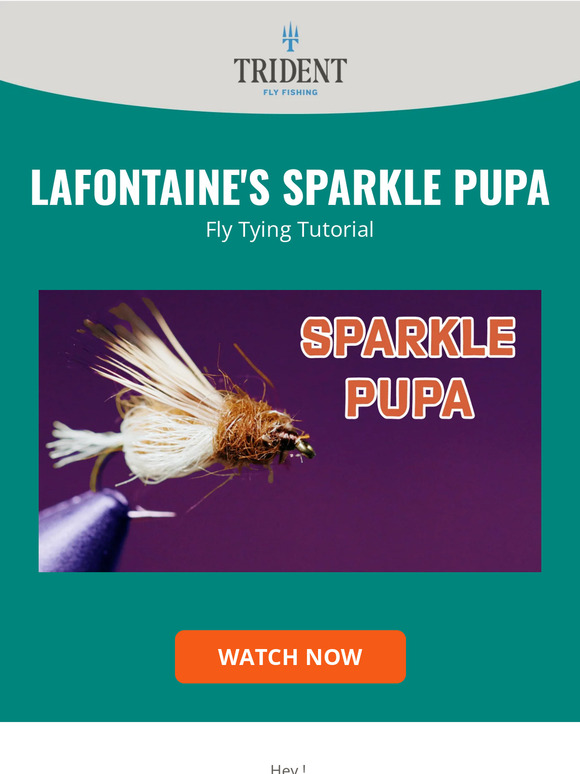 Trident Fly Fishing: How to Tie Lafontaine's Sparkle Pupa | Milled