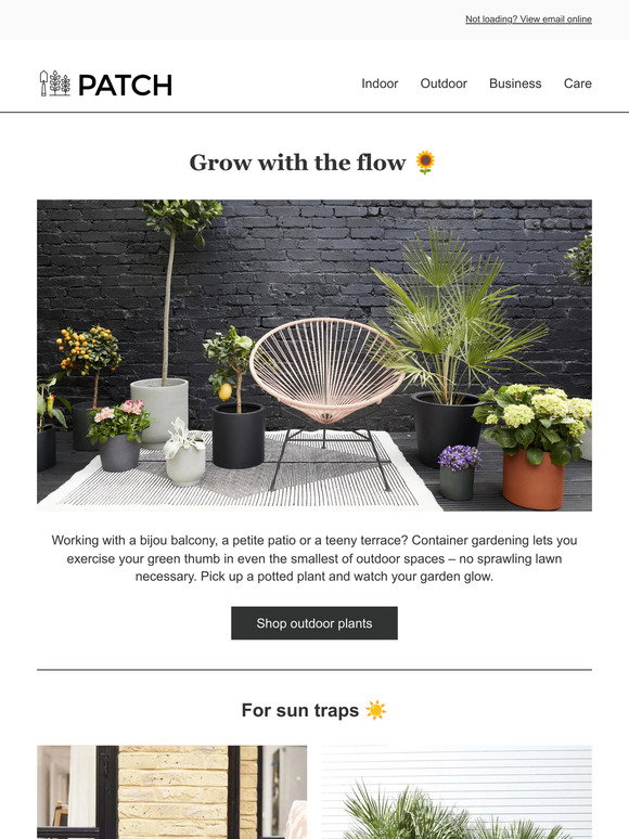 Patch Plants: Small garden = big ideas 💡 | Milled