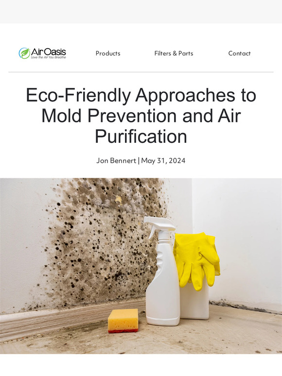Air Oasis: Eco-Friendly Mold Prevention Tips Inside! | Milled