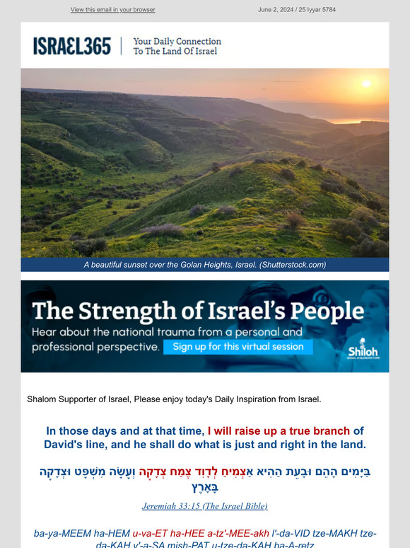 The Israel Bible: The Process of Redemption | Milled