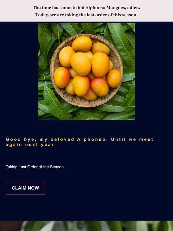 Quicklly: Good Bye Beloved Alphonso 🥭 | Milled