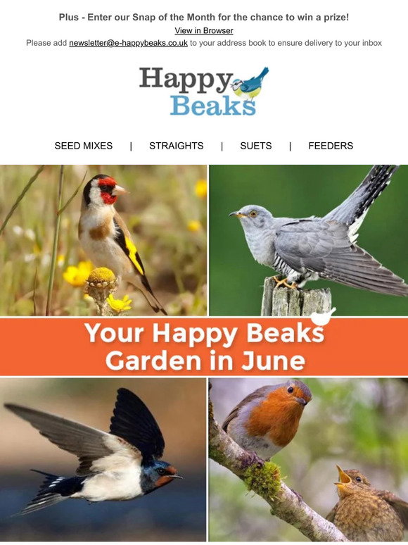 Happy Beaks: Your Happy Beaks Garden In June | Milled