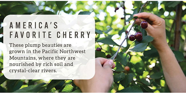 Pittman & Davis: Reserve America's Favorite Cherry Variety - Bing ...