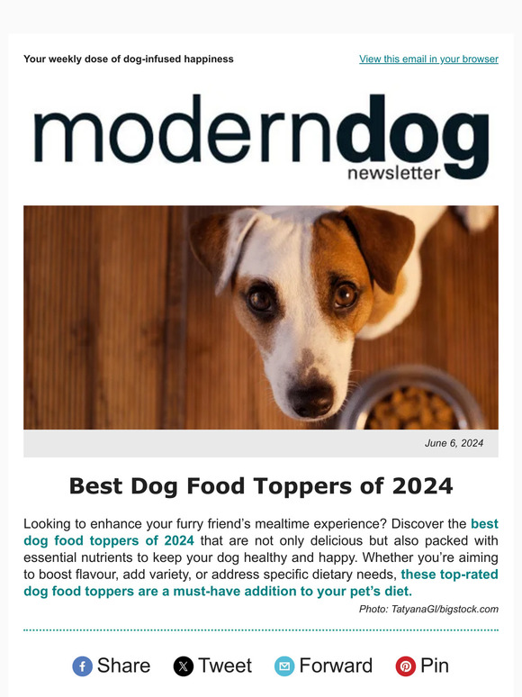 Modern Dog: Maxine the Corgi: Social Media Star Turns Children's Book ...