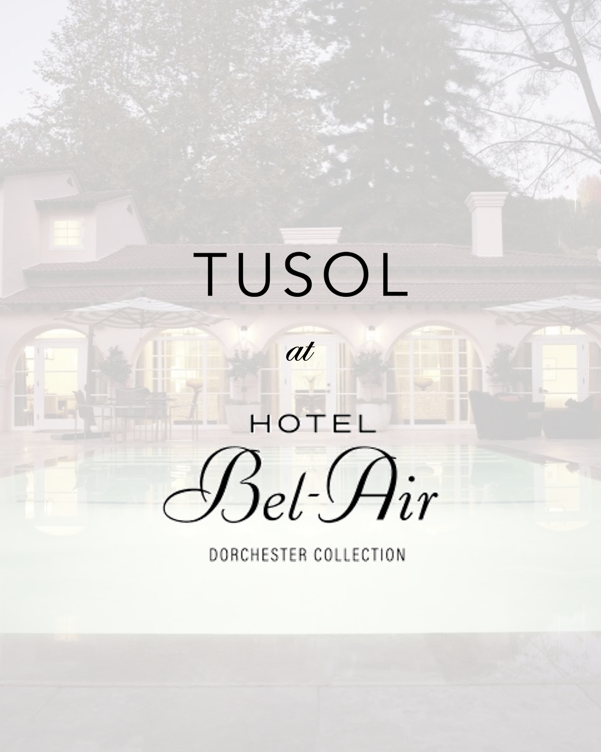 TUSOL Wellness: Discover the 7 Health-Transforming Benefits of Chaga ...