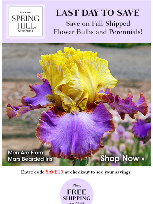 Spring Hill Nursery: Last Day to save 10% on Flower Bulbs and ...