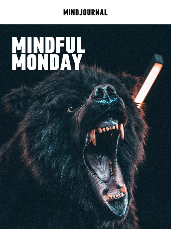 MindJournal: Mindful Monday / 312 / Anger, weddings and how to drink ...