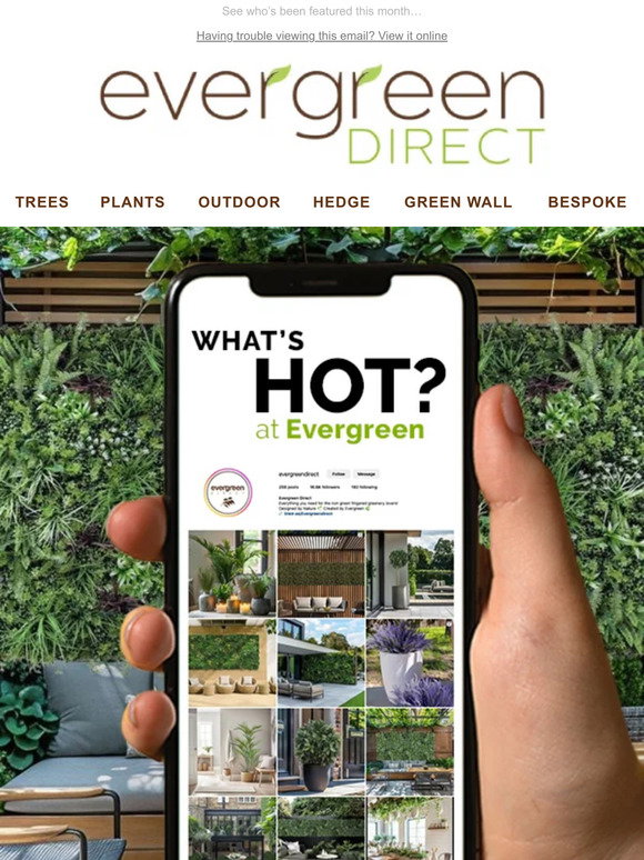 Evergreen Direct: Our gram is heating up 🔥 | Milled