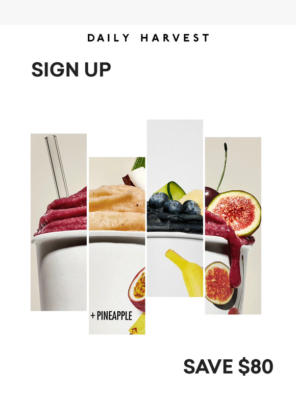 Daily Harvest Email Newsletters: Shop Sales, Discounts, and Coupon Codes