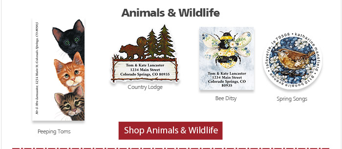 Current Catalog: Here are 1000+ reasons to shop Current - PLUS 99 ...