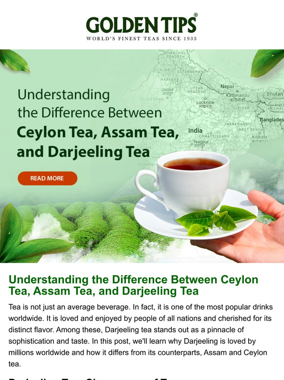 Golden Tips Tea: Tea Time Showdown: Darjeeling vs Assam vs Ceylon. Who ...