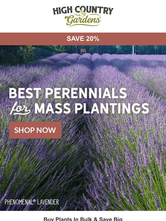 High Country Gardens: Best Perennials For Mass Planting | Milled