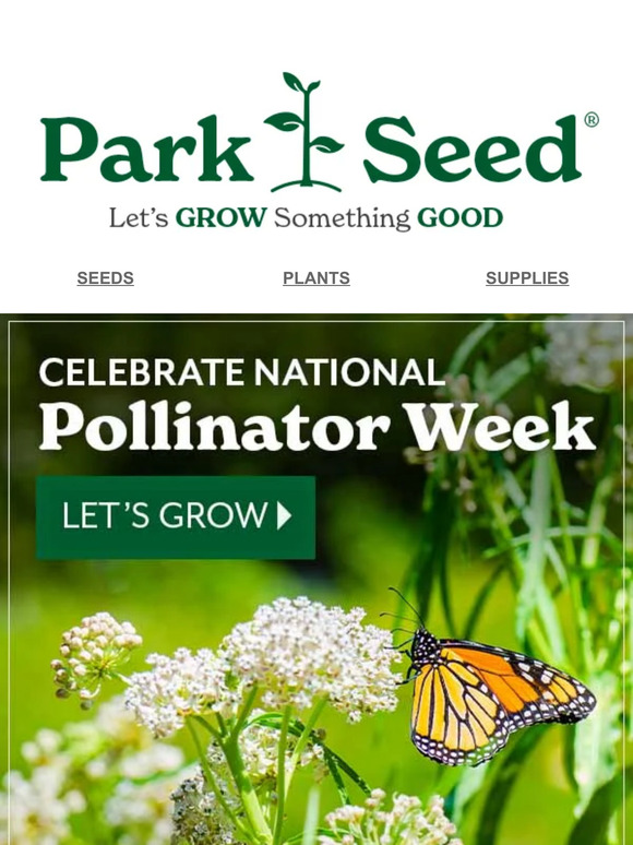 Park Seed: 🦋 Hooray! National Pollinator Week Starts Today 🦋 | Milled