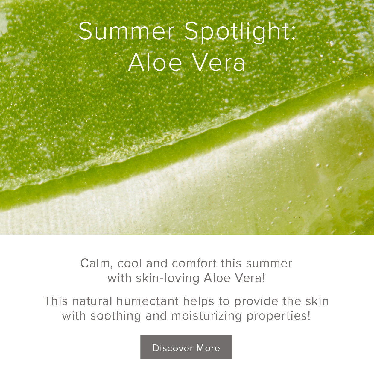 ESPA Skincare: Summer Must: Aloe Vera Infused Skincare | Milled