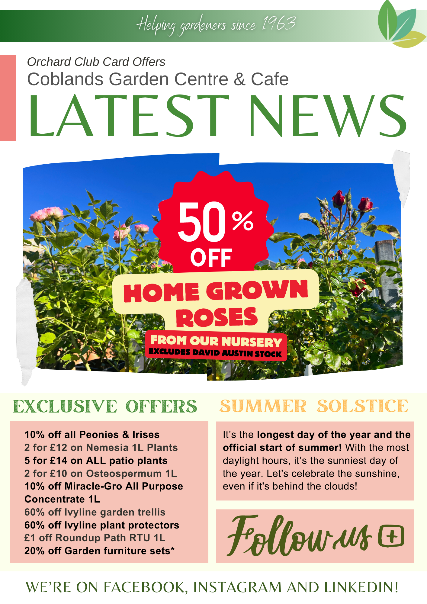 Coblands: NEW June Offers! 50% OFF home grown ROSES, grown in our ...