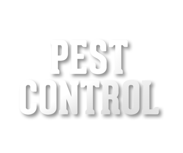 Airgun Depot: The 10 Best Pesting Airguns | Milled
