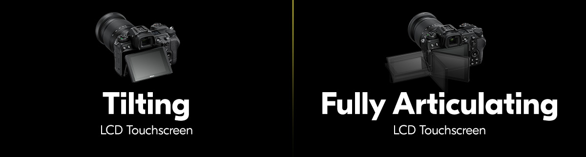 Nikon: The New Z6III vs Z6II | Milled